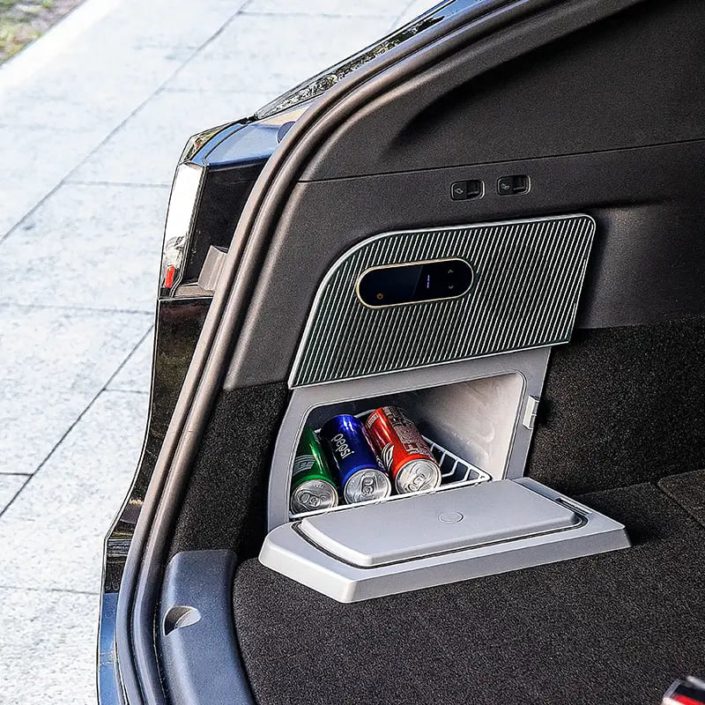 Dual Zone Refrigerator for Tesla Model Y