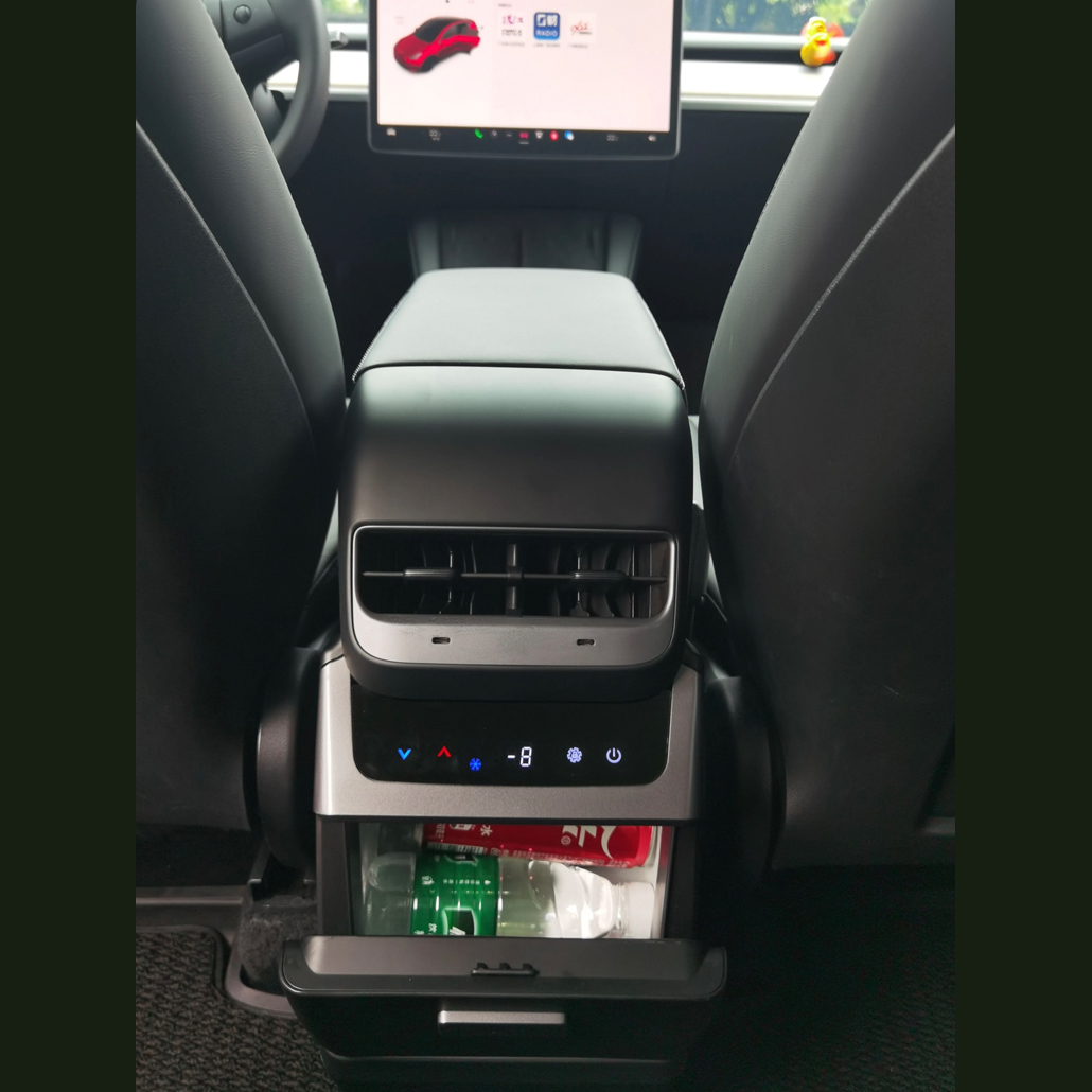 Refrigerator and Warmer for Tesla Model Y