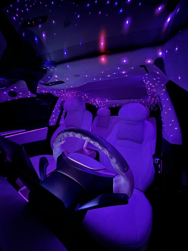 Starlight Headliner for Tesla Models S, 3, X, Y. Installed in Arizona!